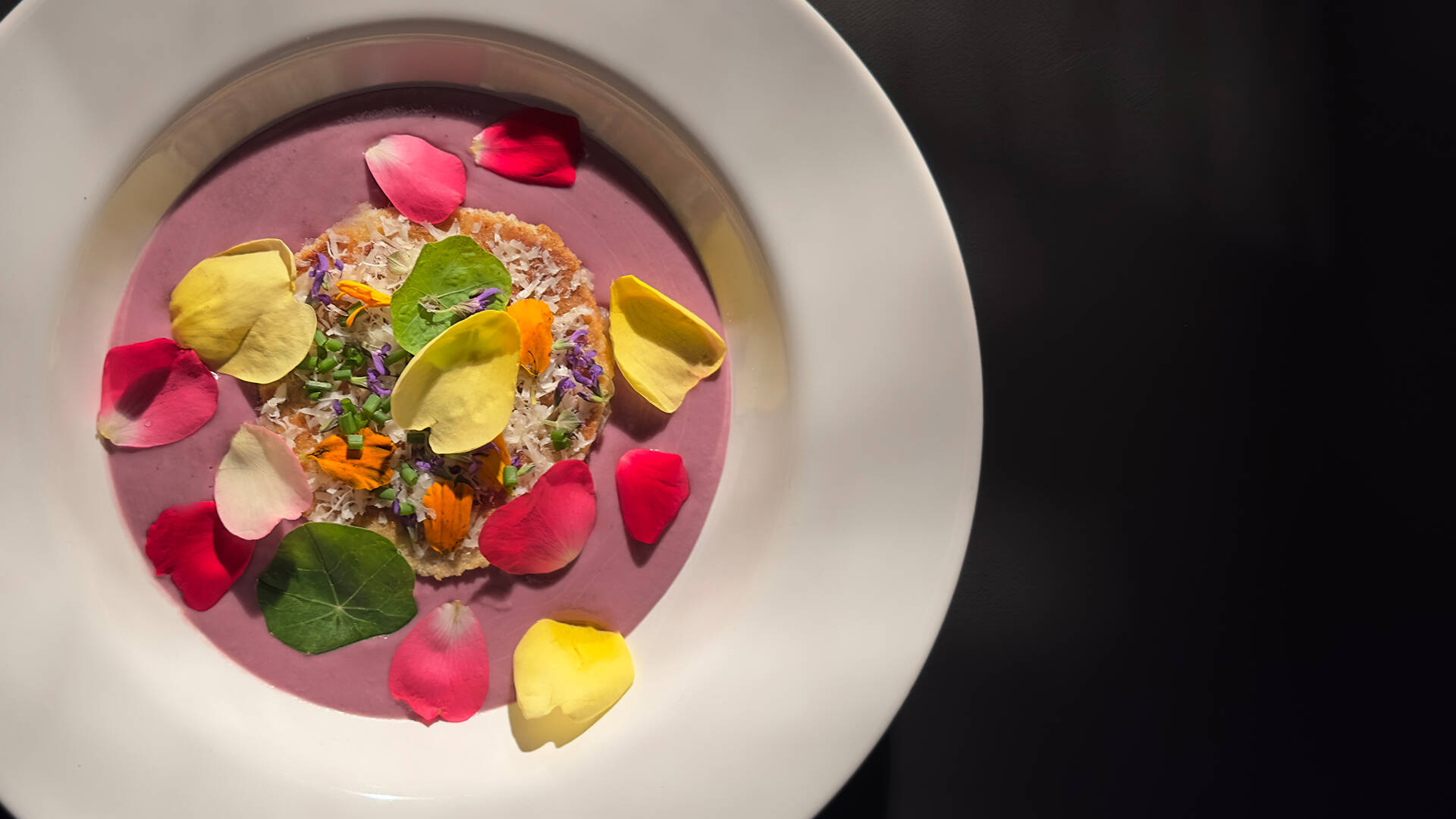 Home | Paco Rosic ART